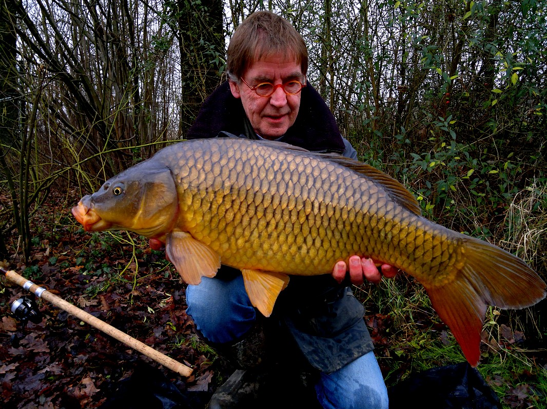 Karpervissen: Karper tegen de schoeiing