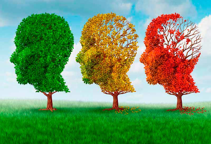 Mi viejo maletin: Escala de Deterioro Global de Reisberg (Golbal ...