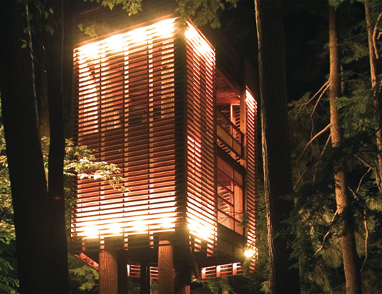 My Search for a Home: The World's Tallest Treehouses