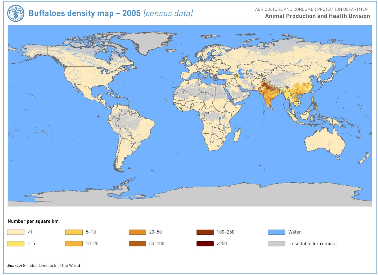 Global Cattle and Buffalo Density Maps | Big Picture Agriculture