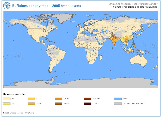 Global Cattle and Buffalo Density Maps | Big Picture Agriculture