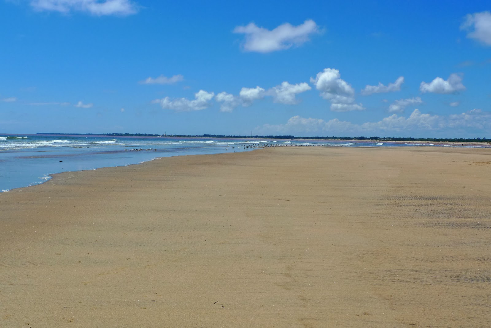 Simon and Karen Spavin: Sabaki River Mouth
