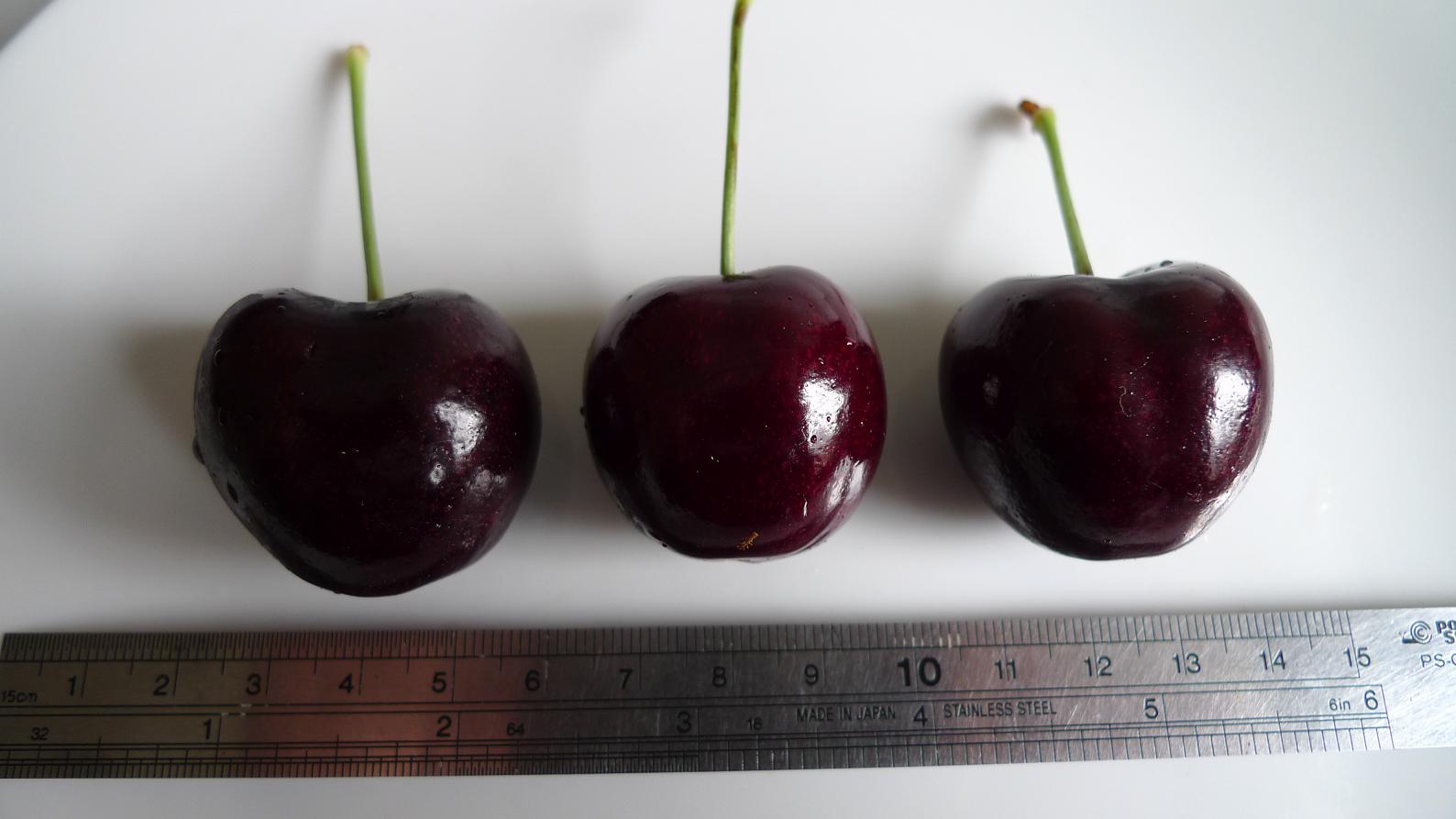 feed the tien: Cherry Season