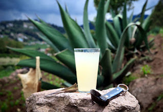 Pulque Divino: BENEFICIOS DEL PULQUE