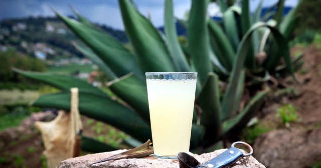 Pulque Divino: BENEFICIOS DEL PULQUE