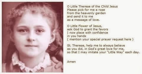 Roses from St. Therese: Roses from Heaven: My Novena Rose Prayer