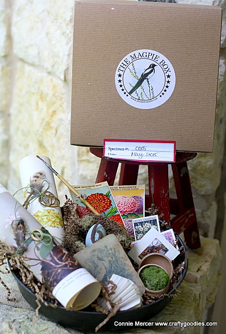 crafty goodies: Try It Tuesday ~ Create a Vignette!