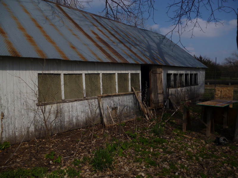 Chicken Barn Renovations