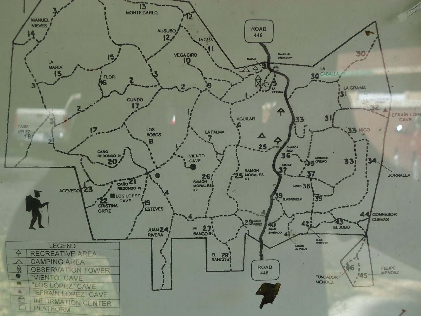 La Vuelta a Puerto Rico en la Silver Van…: Un Paseo por el Bosque de ...