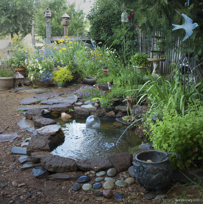 How To Make A Toad Habitat Outside at Matthew Calzada blog