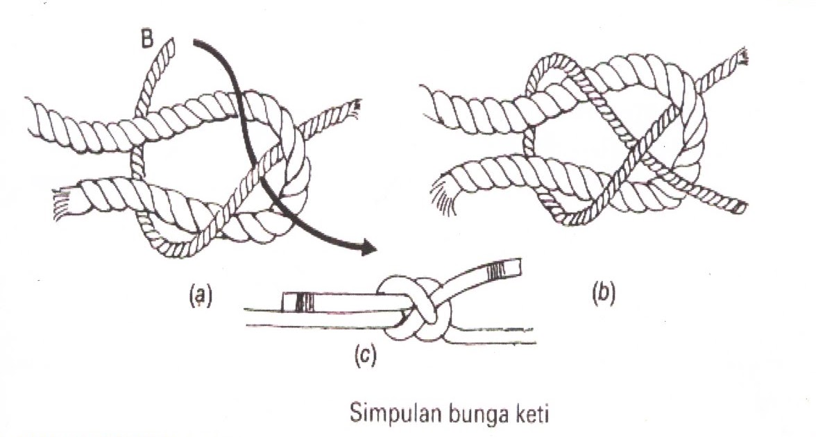 Persekutuan Pengakap Malaysia Daerah Kinta: Lain-Lain