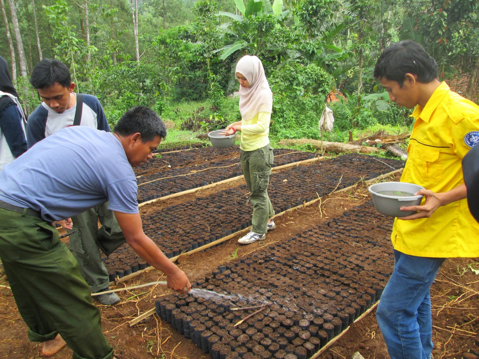 Magang Mandiri KPH Cianjur (Part 2) | FARAWAY
