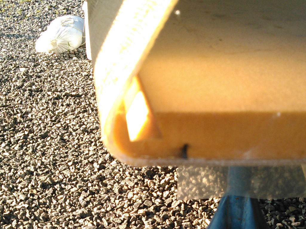 This Rat Sailed: What Was I Thinking