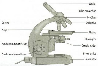-- a vida da Ciência !: O Microscópio Óptico Composto
