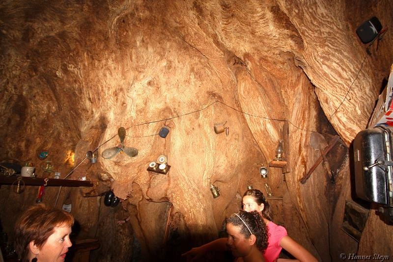 The Sunland Big Baobab | The Bar inside the Trunk of the Tree