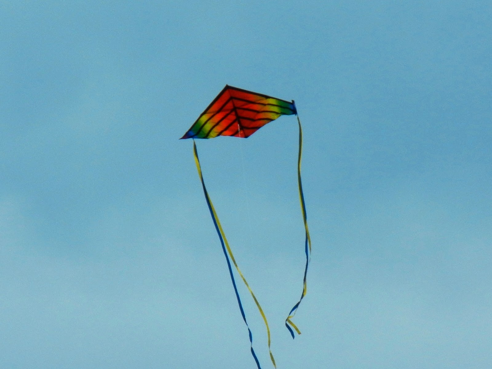 You Don't Look Sick - Living with Rheumatoid Arthritis: FLYING AS HIGH ...