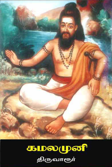 MAHA SIDDHARGAL TRUST GURU SEVA ACTIVITIES: Siddhars (Tamil: சித்தர் ...