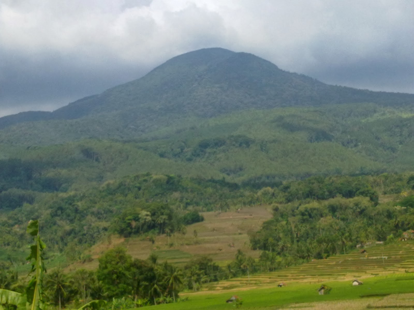 Gading Moore: Gunung Tampomas Sumedang Jawa Barat