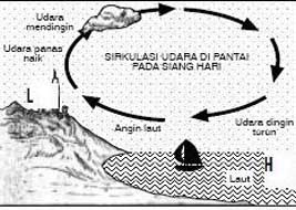 Yonk Ngeblog: Jenis-Jenis Angin