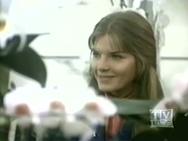 Zebradelic: Tarah Nutter on Nero Wolfe