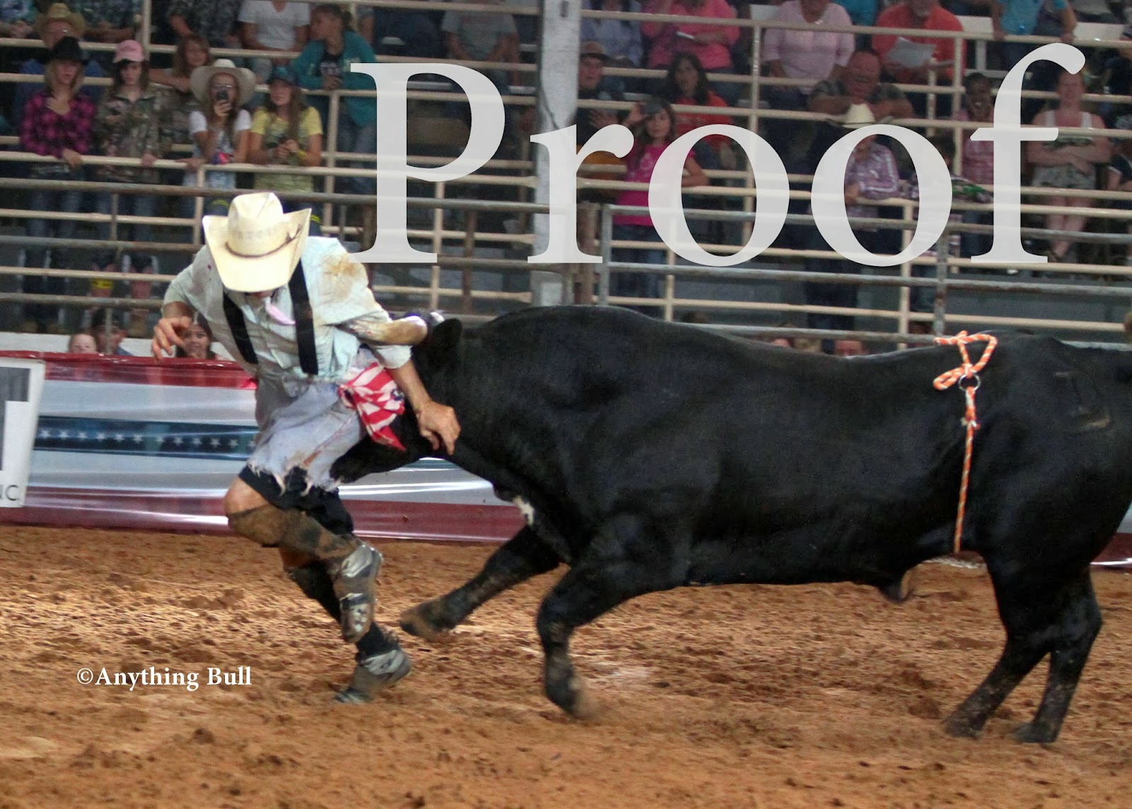 Anything Bull or Rusty: Friday Round 5 - Clint Hopping