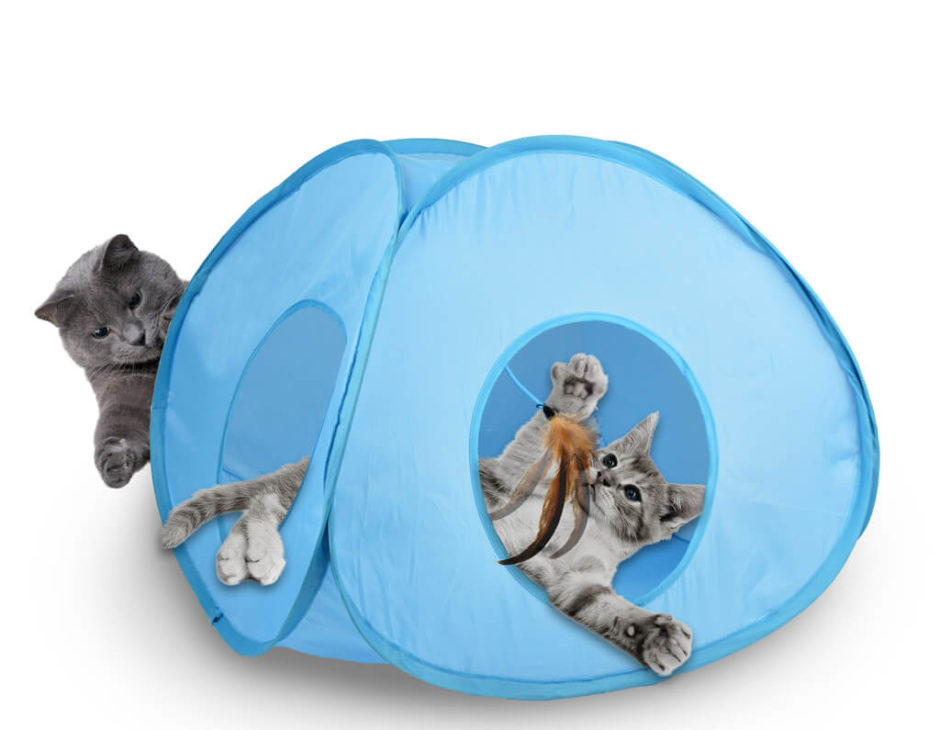 Cat and DOG Chat With Caren: Cat Toy: OurPets Pounce House Electronic ...