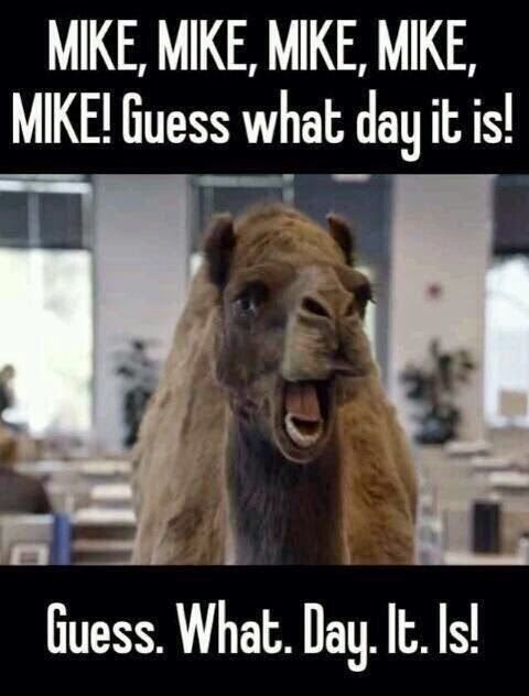 Geico Camel Hump Day Mike Mike Mike