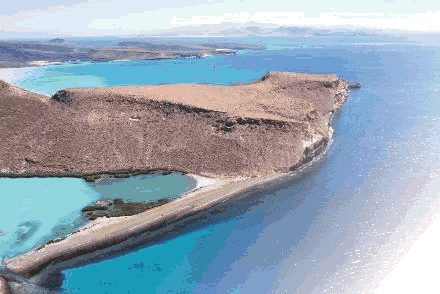 ECOSISTEMAS: ECOSISTEMA INSULAR