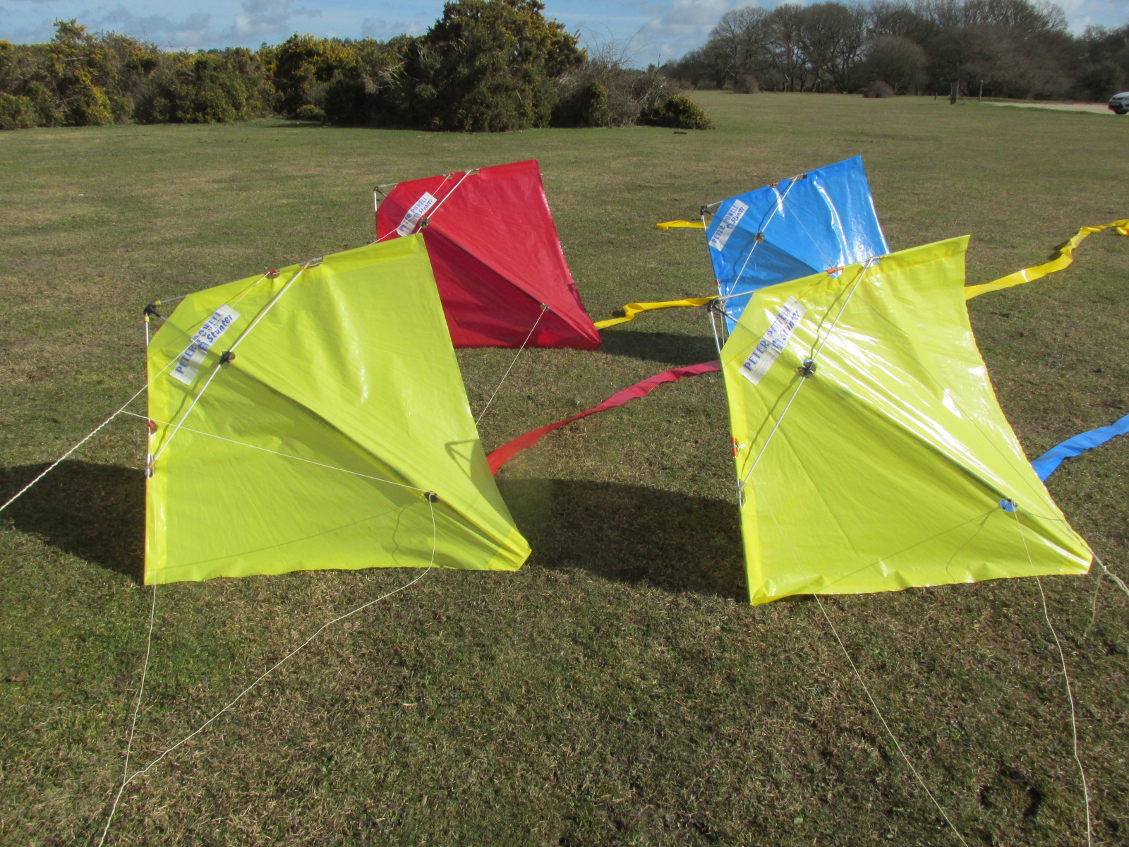 Peter Powell kites collection: Double 2-stack of Peter Powell Stunters