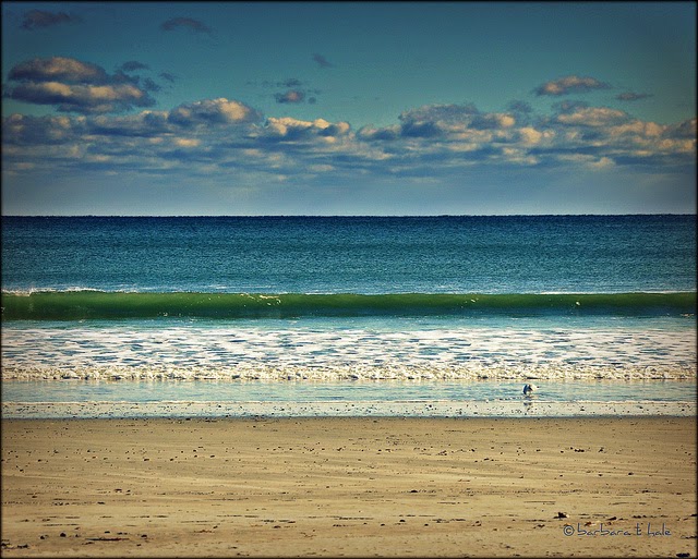 Emma: Elements & Principles of Photography