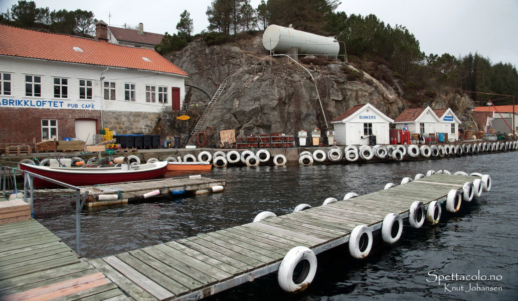 SPETTACOLO TUR(b)LOGG : Brandasund, Norway