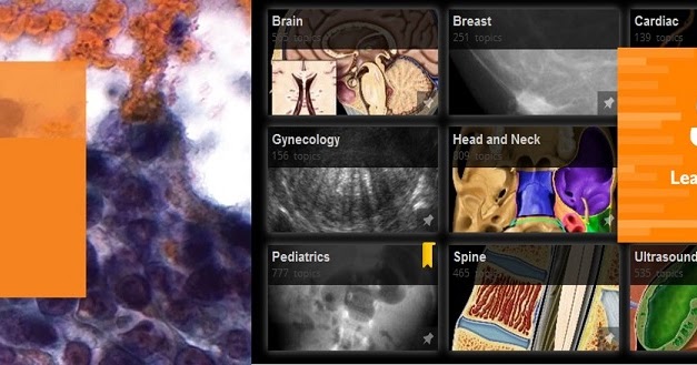 Li Ping Medical Library @ CUHK: Library Workshop on ExpertPath & STATdx ...