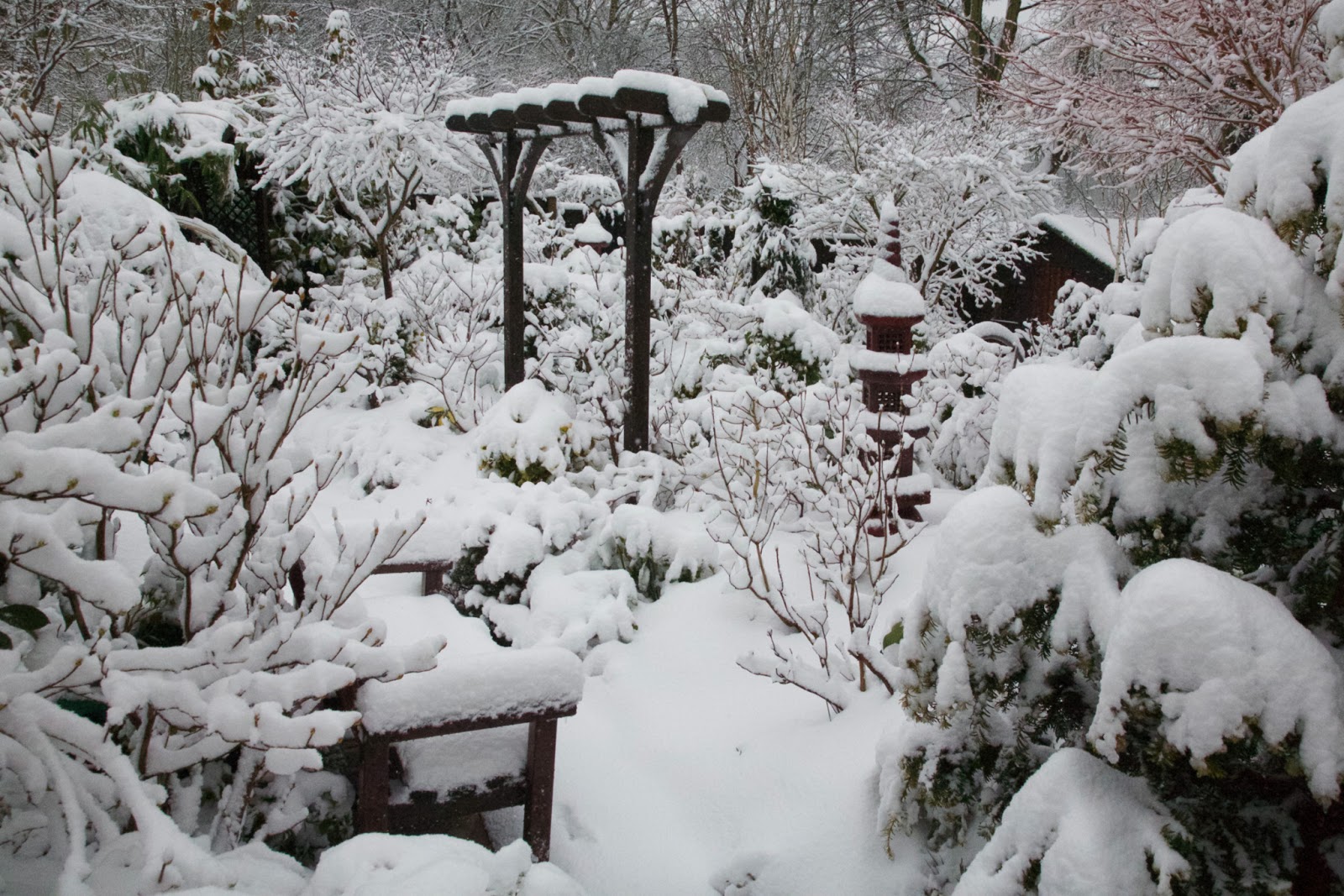 Drelis Gardens: Four Seasons Garden - The most beautiful home gardens ...