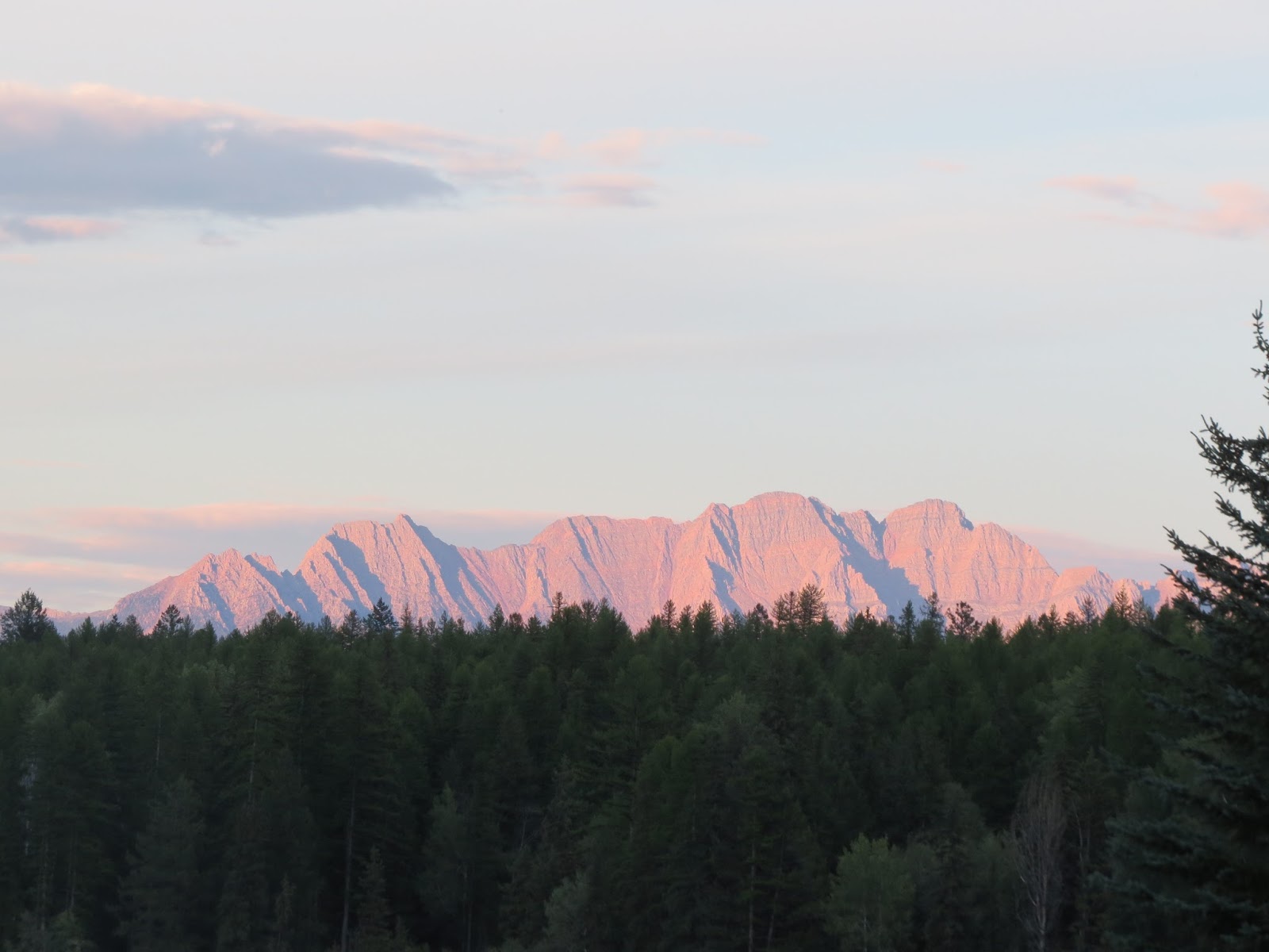 The Cranbrook Guardian: Out and About at Jim Smith Lake