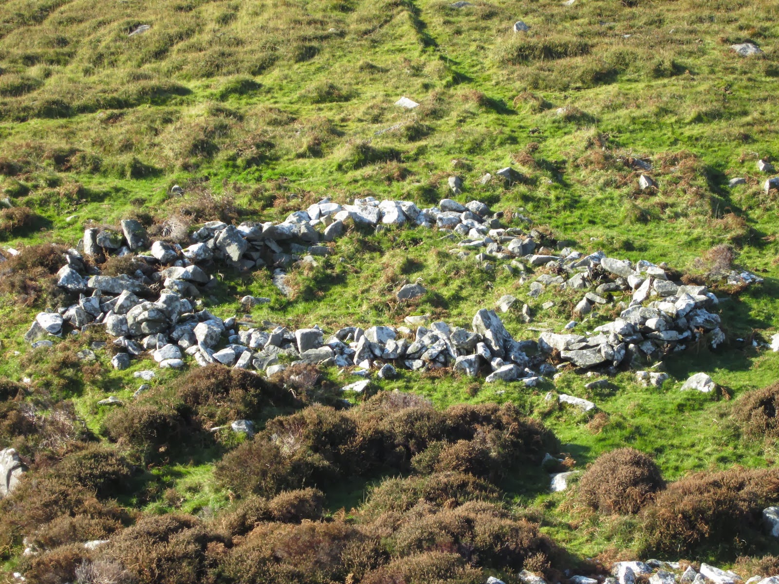 Stonehenge and the Ice Age: Bronze Age (?) round house on Carningli