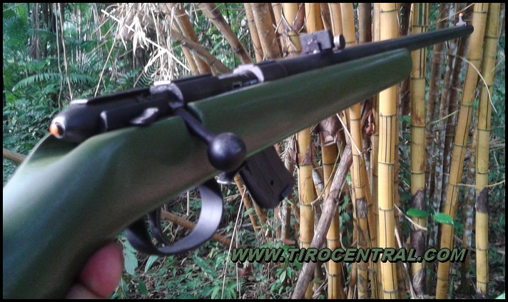 ARMAS DE PRESSÃO, ARMAS DE FOGO & TIRO ESPORTIVO: RIFLE .22LR CBC ...