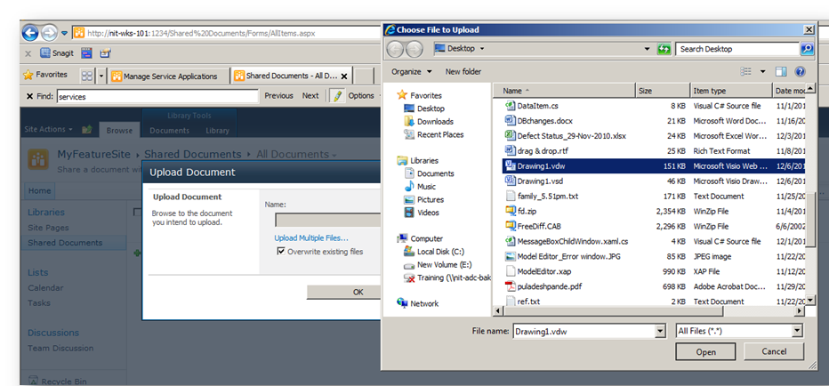 Excel and Visio Web Access Web Parts in SharePoint 2010