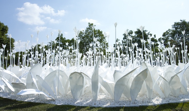 Mashmoom: Folding for Peace paper flowers