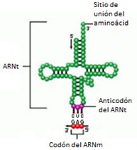 Cs. Biológicas Online 3