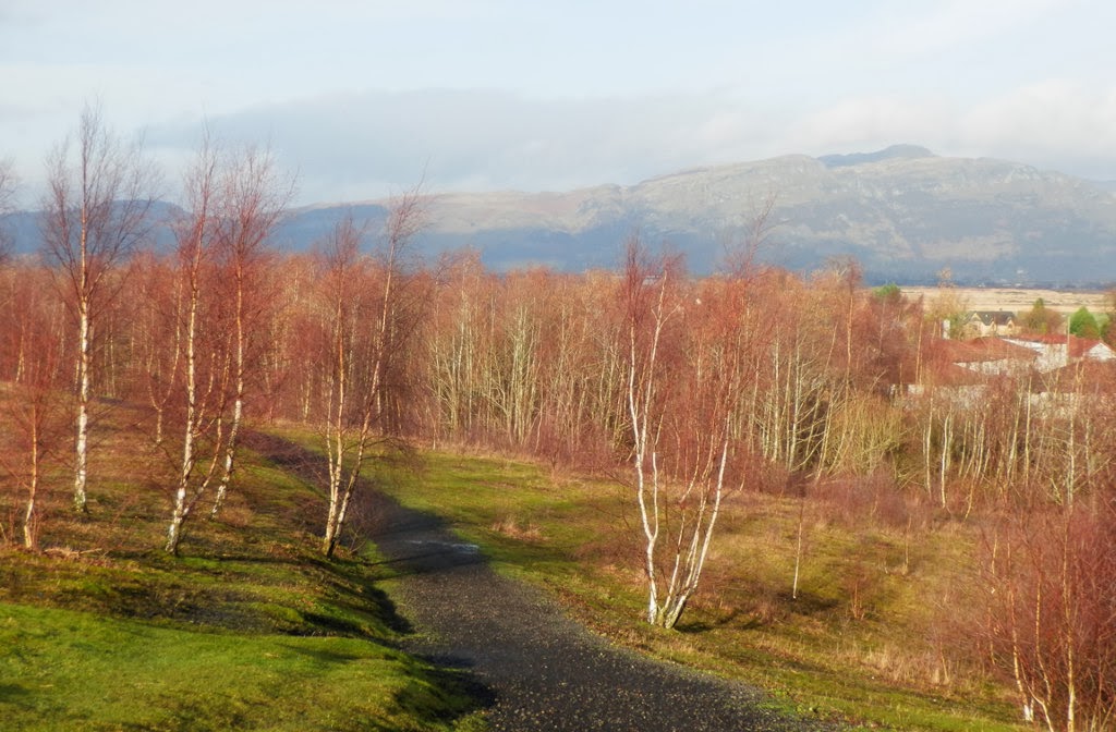 My Daily Walk: Fallin Railway and Bing