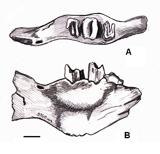 LOS ANIMALES PREHISTORICOS DE CHILE: MILODÓN Y MEGATERIO LOS PEREZOSOS ...