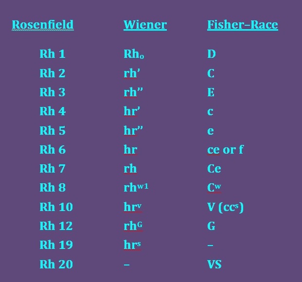 Lecture Notes in Medical Technology: Lecture #5: Rh/Hr BLOOD GROUP SYSTEM