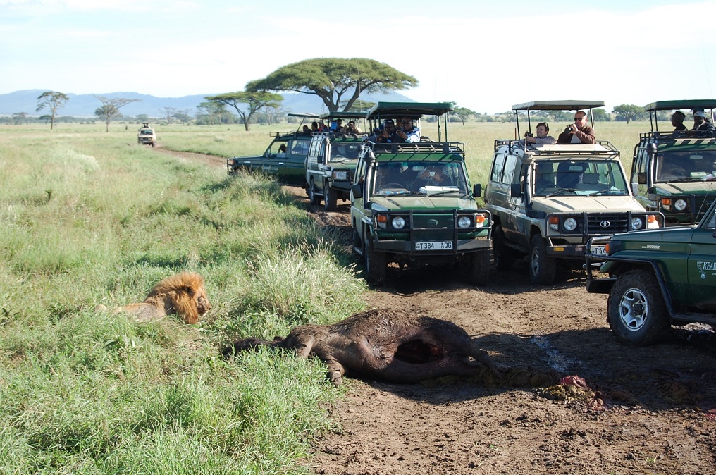 KAPIPI Jhabari.COM: TPA WATEMBELEA MBUGA ZA WANYAMA