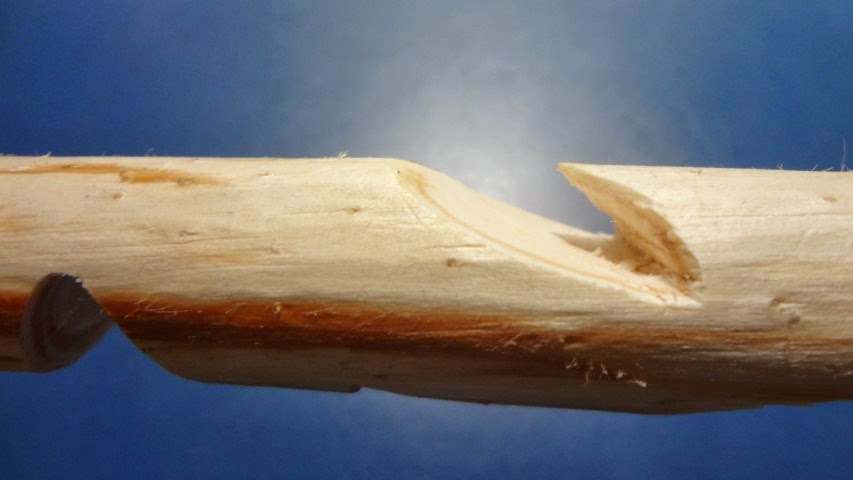 "Try Stick" ~ | Bushcraft Berg