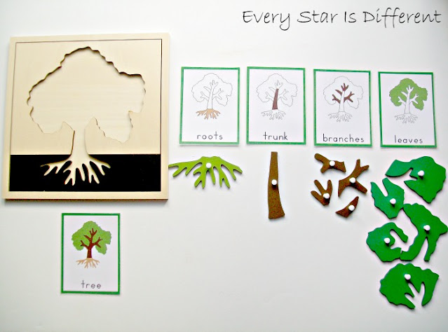 Tree Activities for Tots & Preschoolers with Free Printables - Every ...