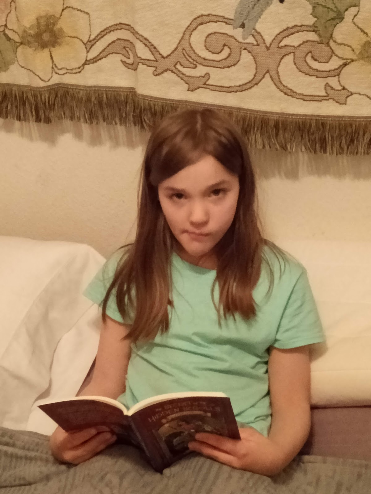 Counting Pinecones: Victus Study Skills System ( A Homeschool Crew Review)