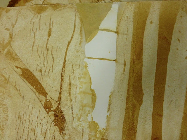 tracemarks: rust and remnants .....