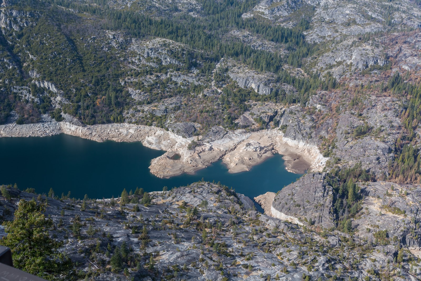 Naturetastic Blog: Donnell Fire Burn Scar (Part 1) - Stanislaus ...