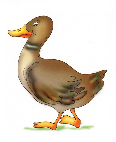 Figuras de pato a color para imprimir - Imagui