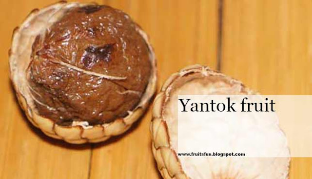 Ever Fresh Fruits: February 2016